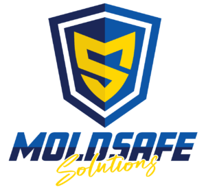 Mold Testing & Mold Removal Carlsbad, CA | Mold Safe Solutions
